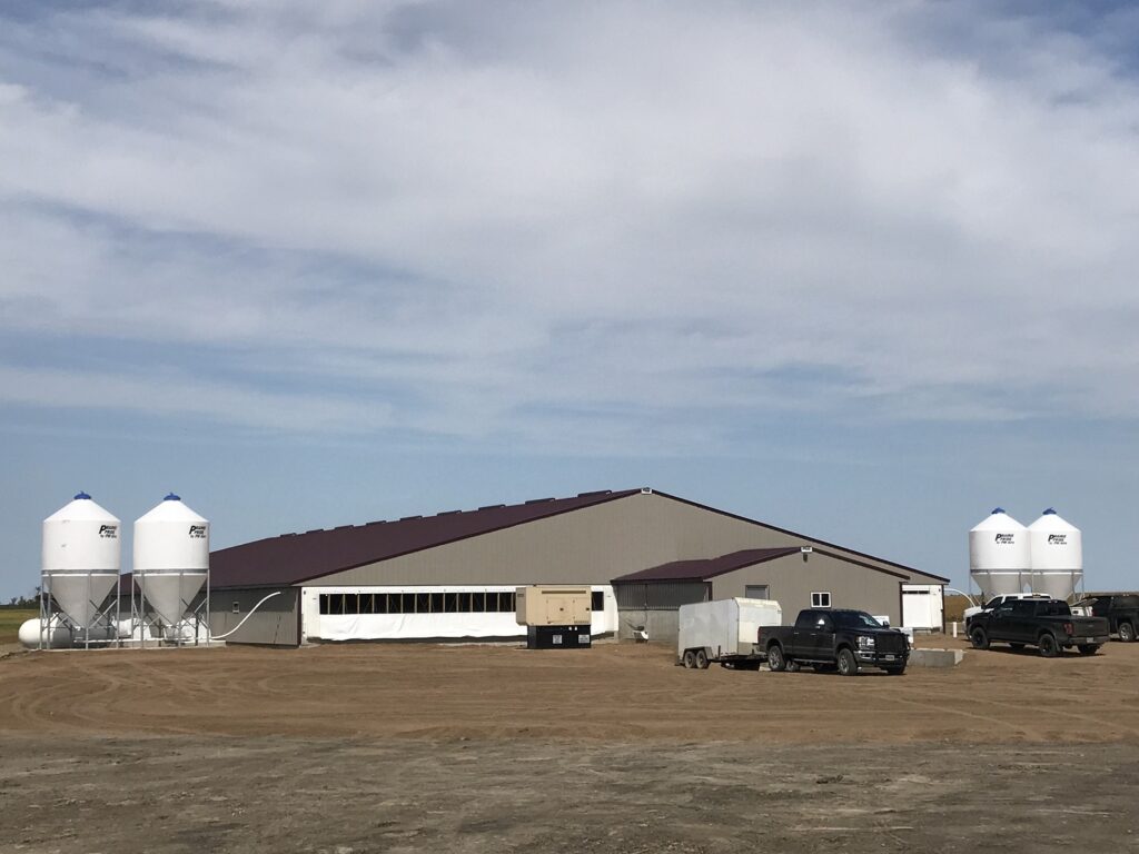 Hog – Reaves Buildings