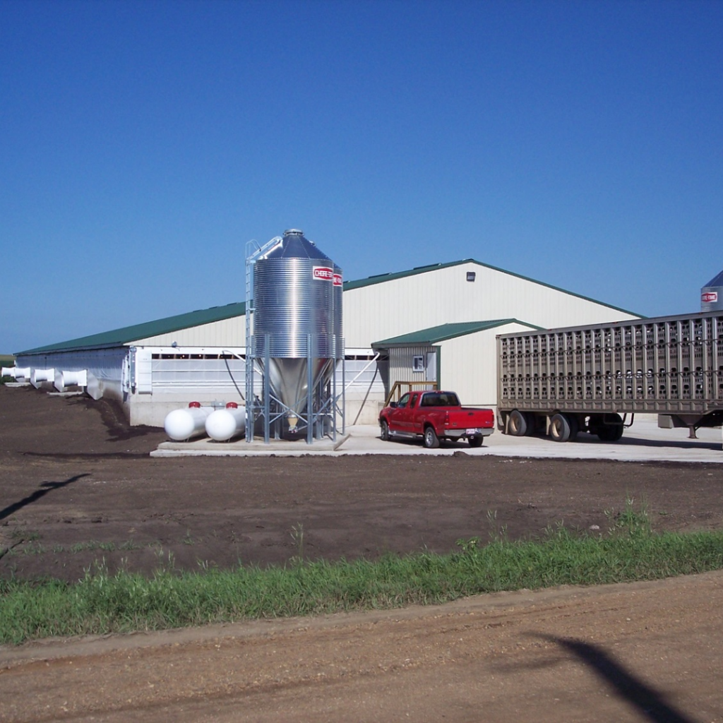 Livestock – Reaves Buildings
